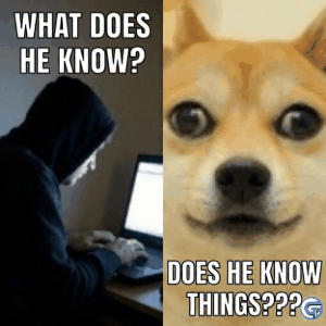 Does He Know Meme GIFs & Images – Funniest Reactions in HD 4K Templates ...